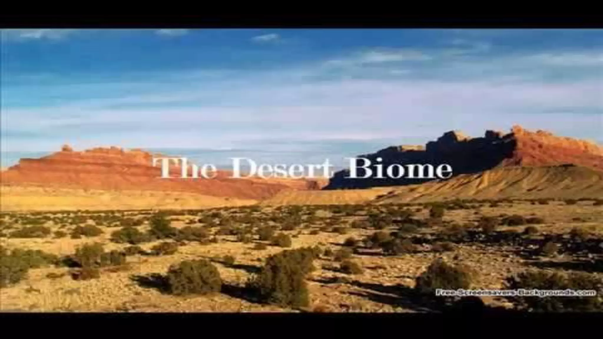 Ecopphysiology, plant biomes, and weather | PPTX