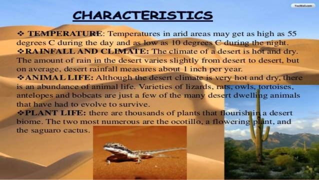 Ecopphysiology, plant biomes, and weather | PPTX