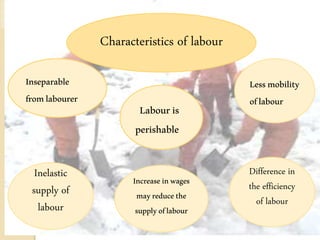 Factor of production | PPTX