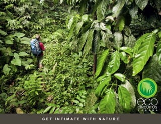 EcoCircuitos Panama Presentation | PDF | South America Travel | Travel Locations