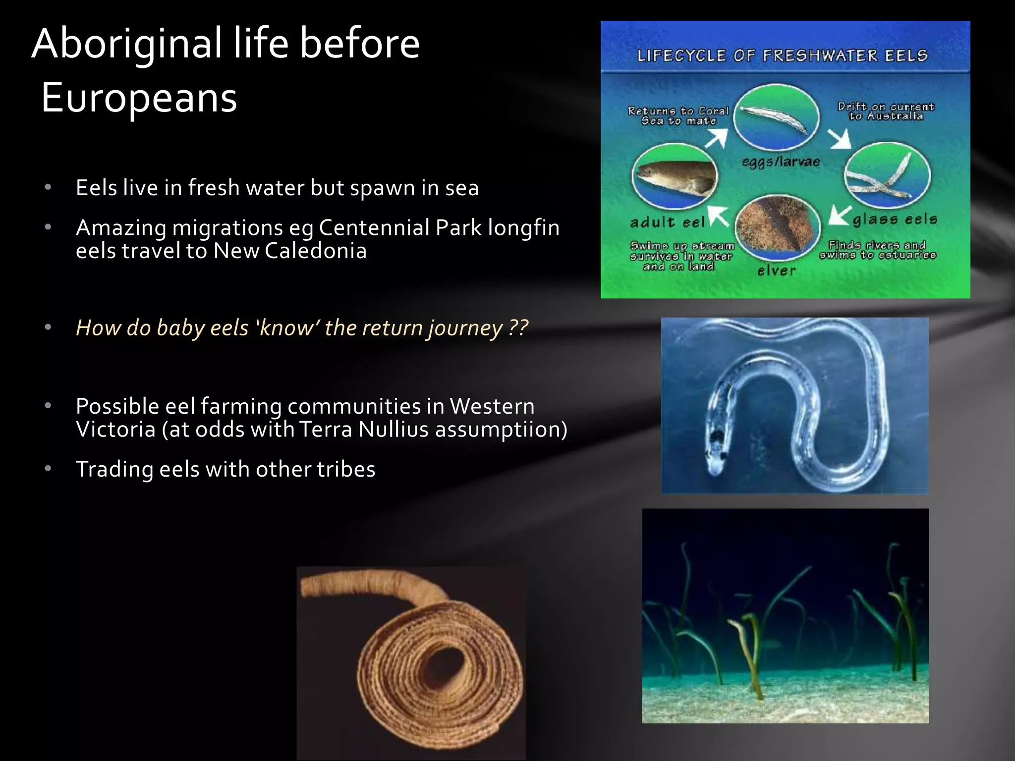 Aboriginal History - ACU Presentation | PPTX