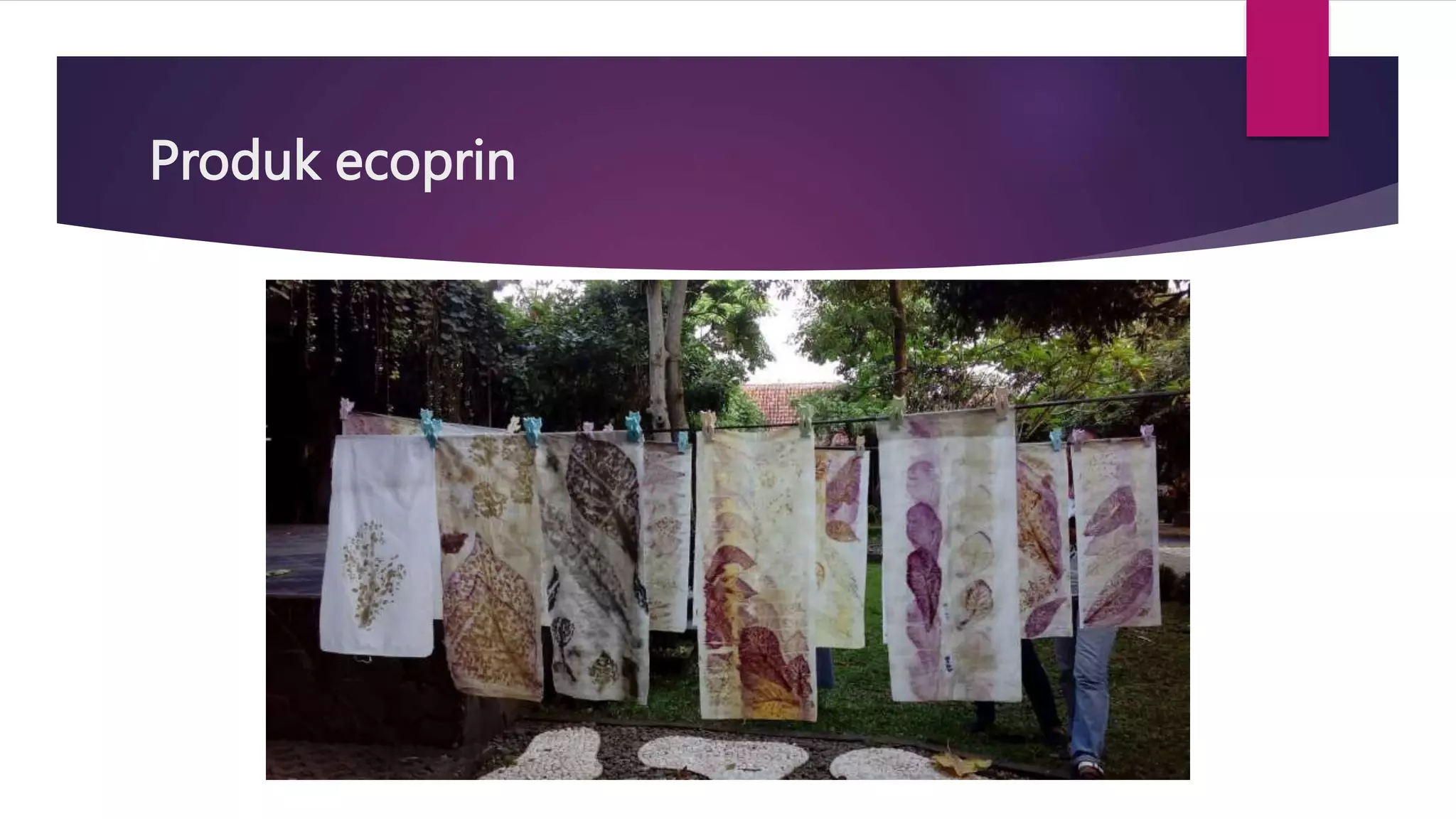 ECOPRINT.pptx