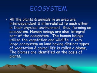 Eco project by manas kalra & group | PPT