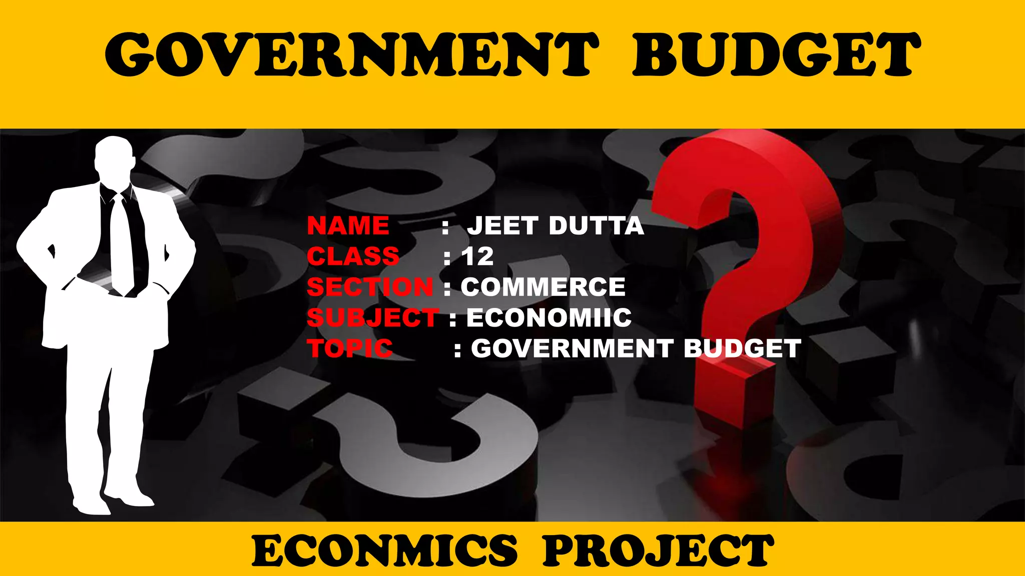 GOVERNMENT BUDGET | PDF