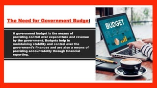 GOVERNMENT BUDGET | PDF