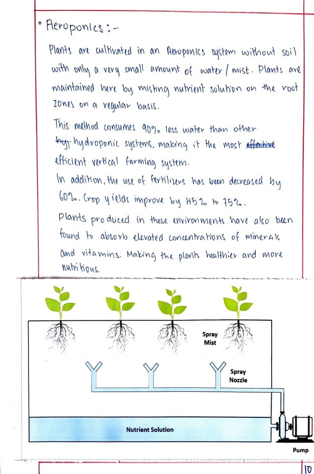 Eco Project class 12 on Vertical Farming. | PDF