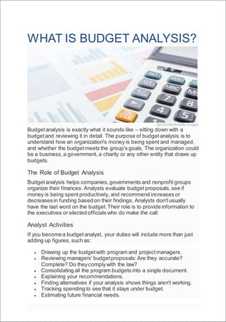 Budget Analysis | DOCX