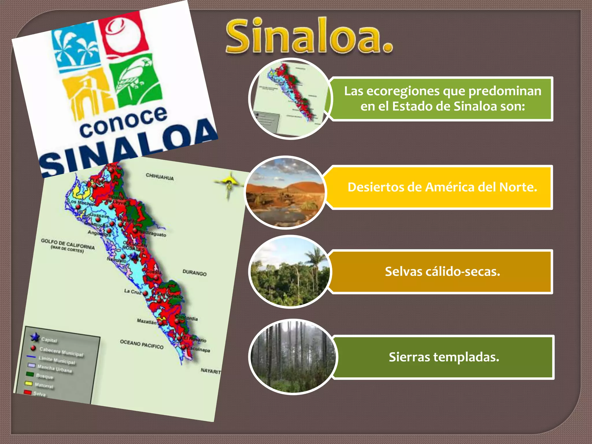Ecoregiones de méxico y sinaloa | PPTX
