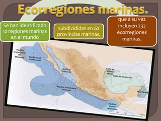 Ecoregiones de méxico y sinaloa | PPTX