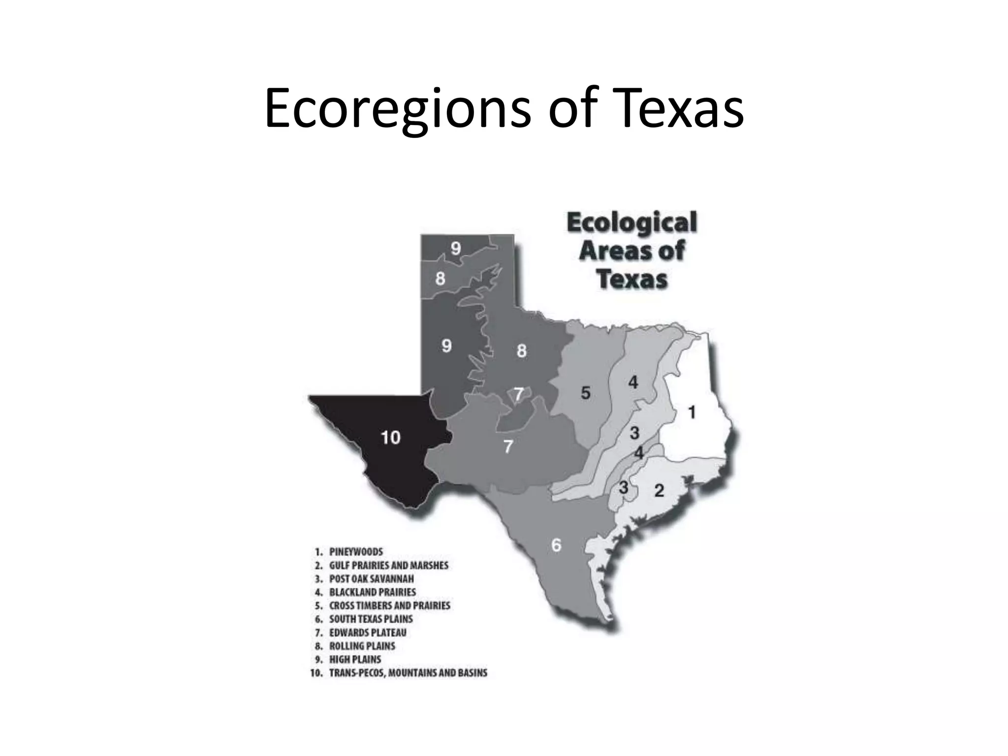 Ecoregions of texas | PPTX