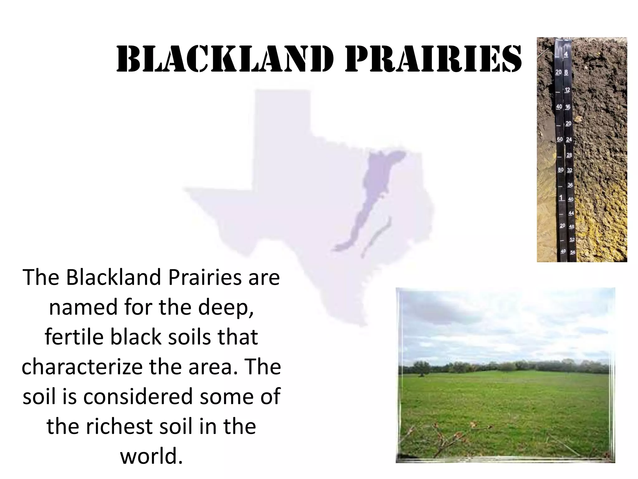 Ecoregions of texas | PPTX