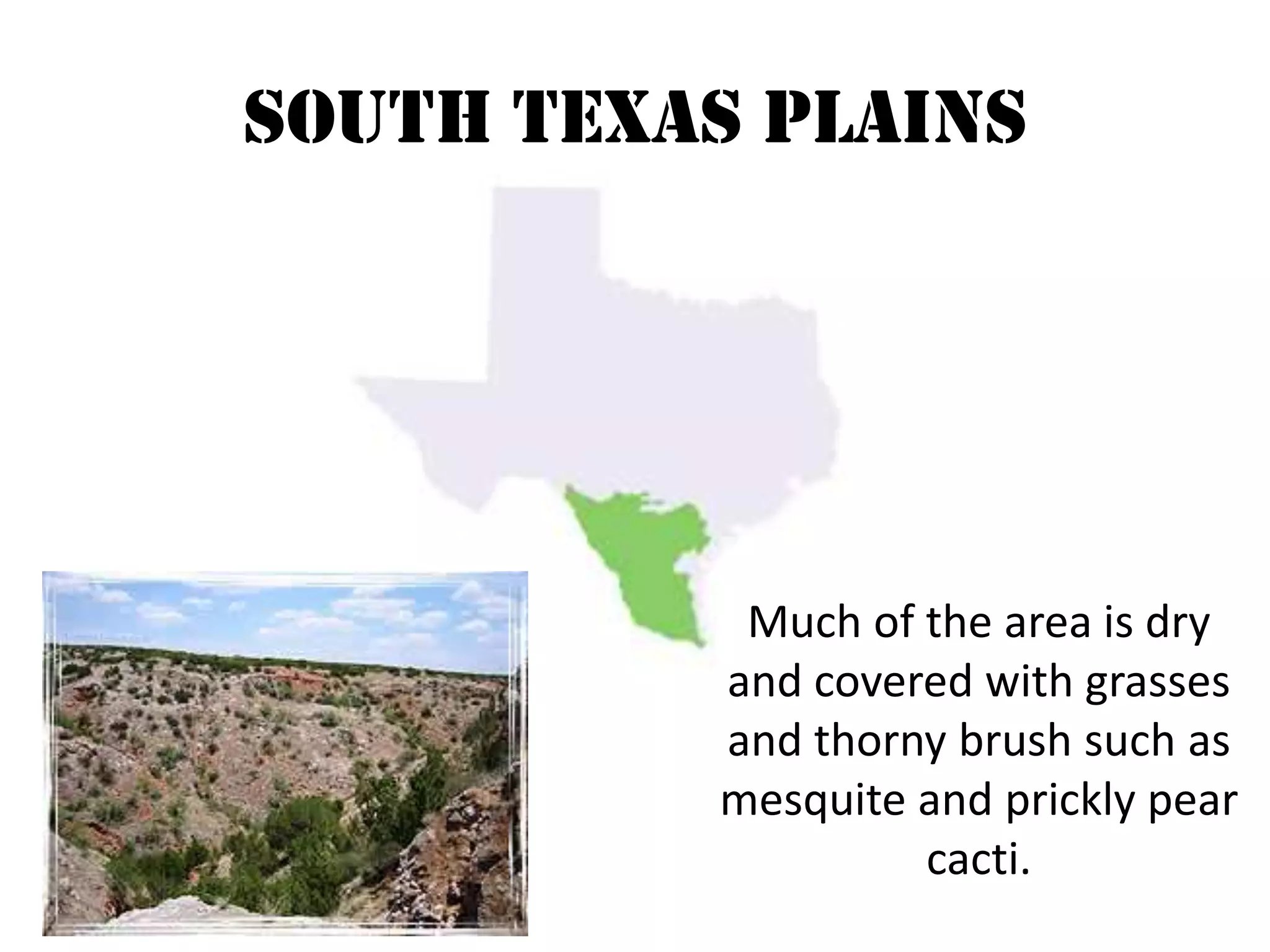 Ecoregions of texas | PPTX