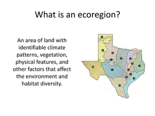Ecoregions of texas | PPTX | Geography | Science