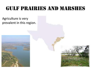 Ecoregions of texas | PPTX