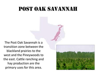 Ecoregions of texas | PPTX | Geography | Science