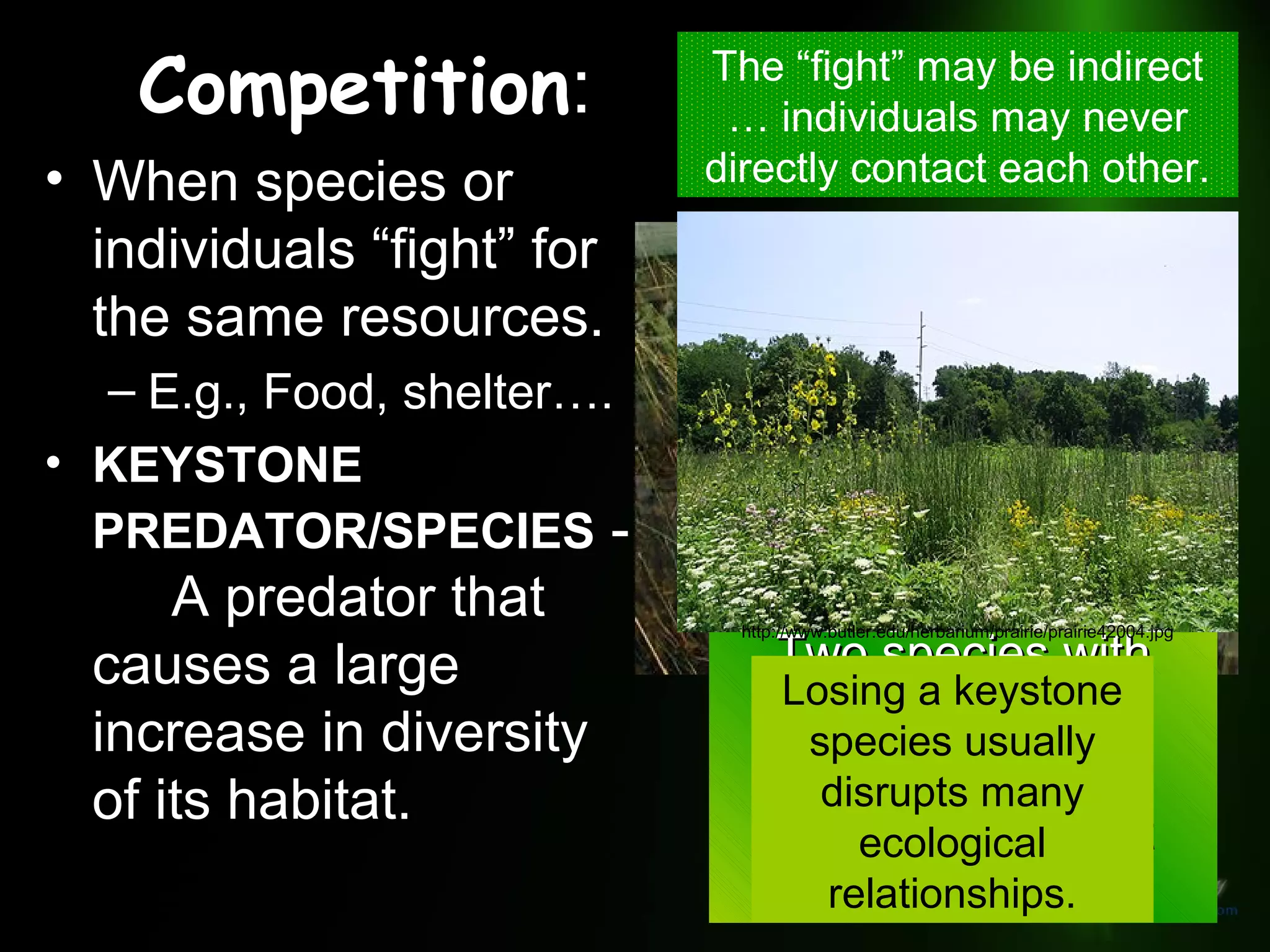 Ecological relationship | PPT