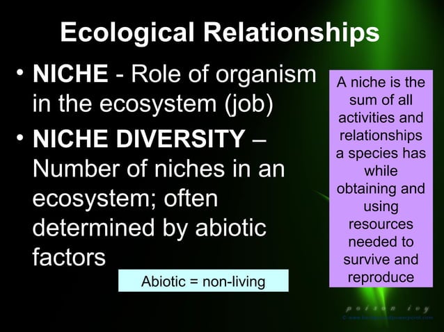 Ecological relationship | PPT