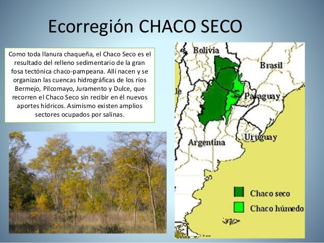 Ecorregion chaco seco