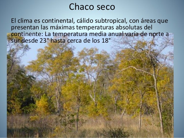 Ecorregion chaco seco
