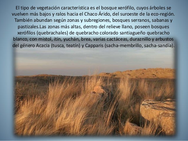 Ecorregion chaco seco