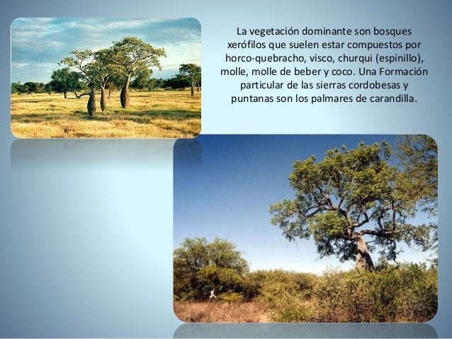 Ecorregion chaco seco