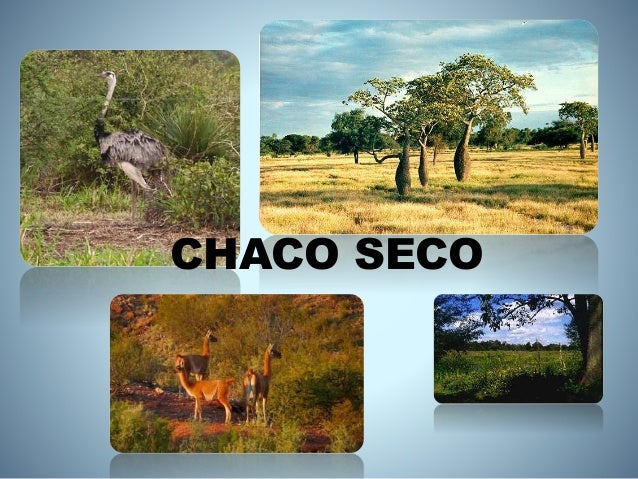 Ecorregion chaco seco