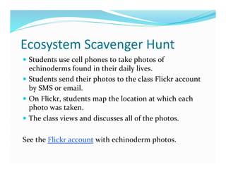 Ecosystem_Scavenger_Hunt_7-1-10 | PPT