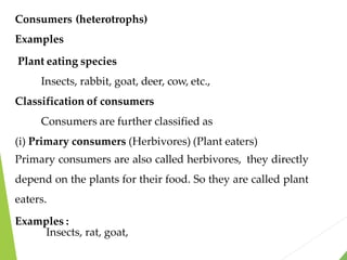 ECOSYSTEM, DEFINITION, COMPONENTS AND ENERGY FLOW | PPTX