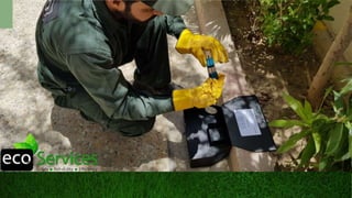 ecoservices PPT.pptx