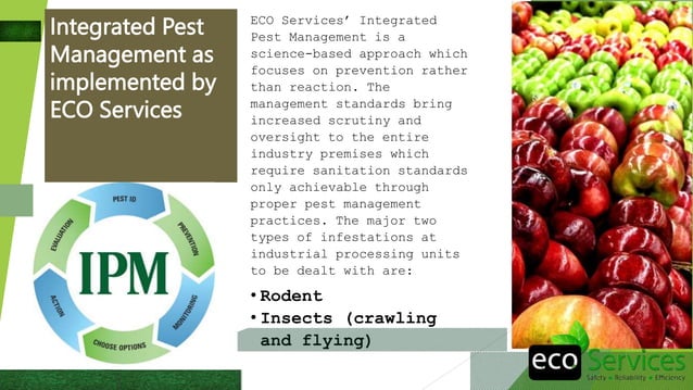 ecoservices PPT.pptx