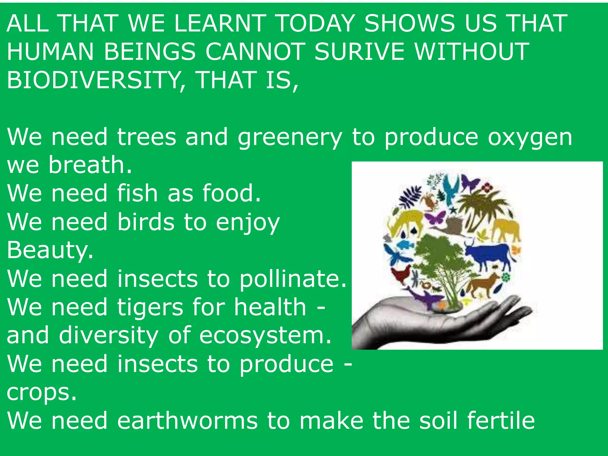 Eco session 2 for kids biodiversity | PPTX