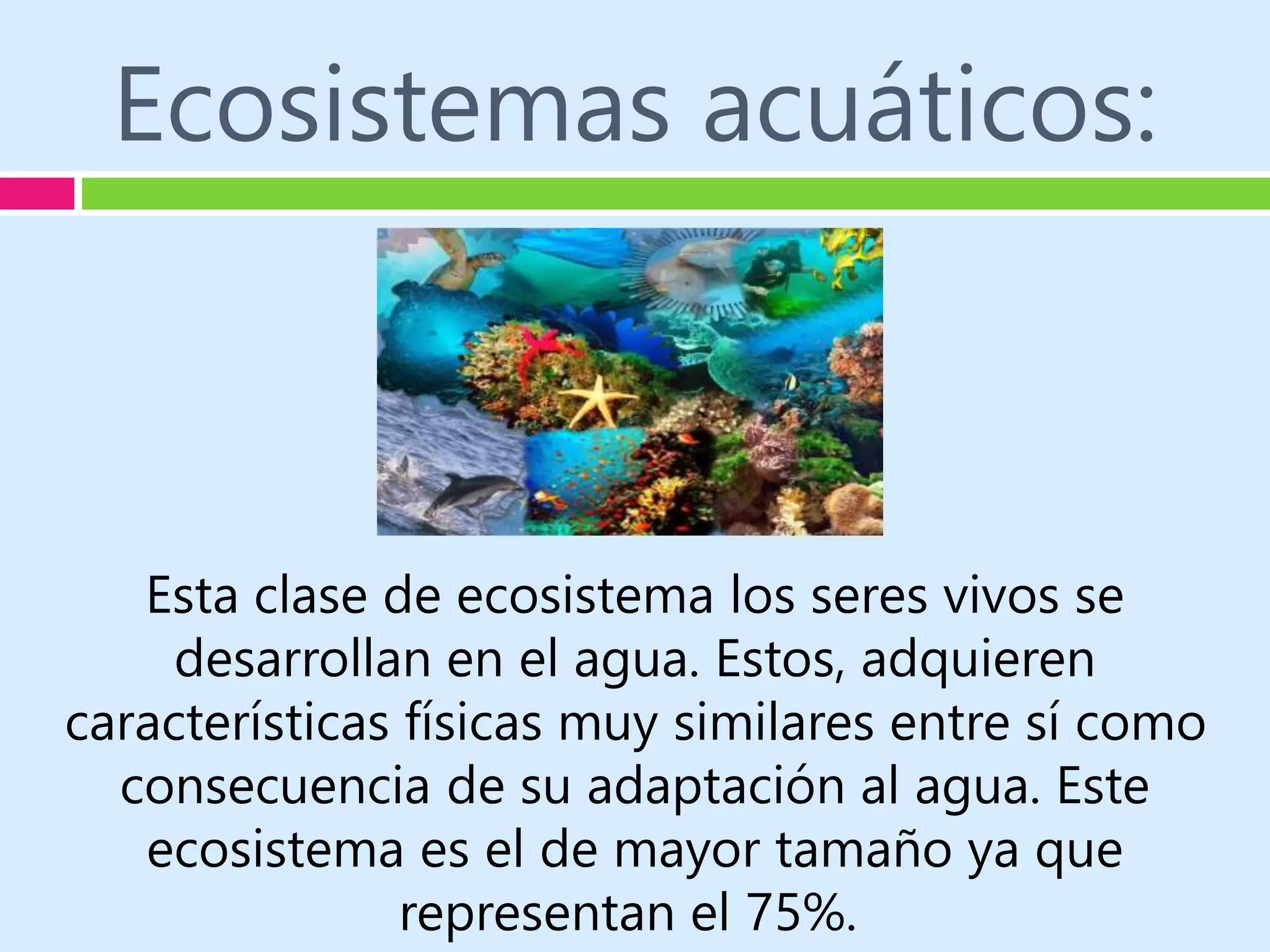Ecosistema. | PPTX | Geography | Science