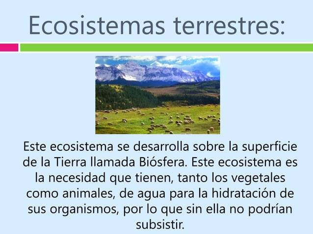 Ecosistema. | PPTX | Geography | Science