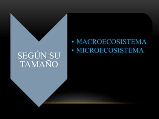Ecosistema | PPTX