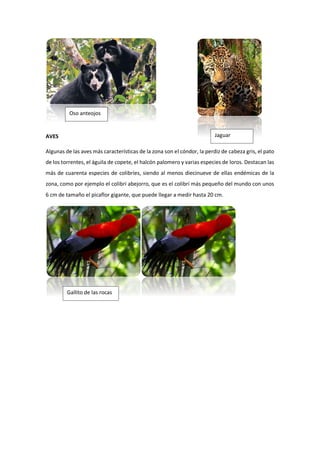 Ecosistema | PDF
