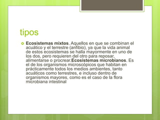Ecosistema | PPTX