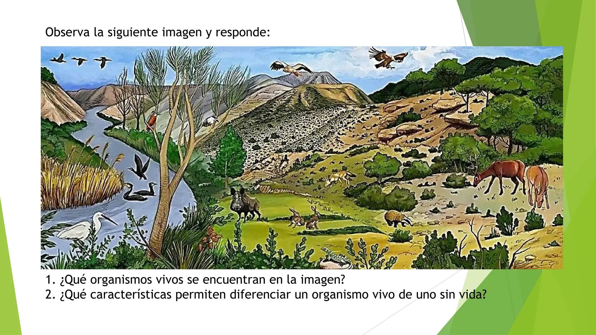 Reconocer un ecosistema y sus componentes.pptx
