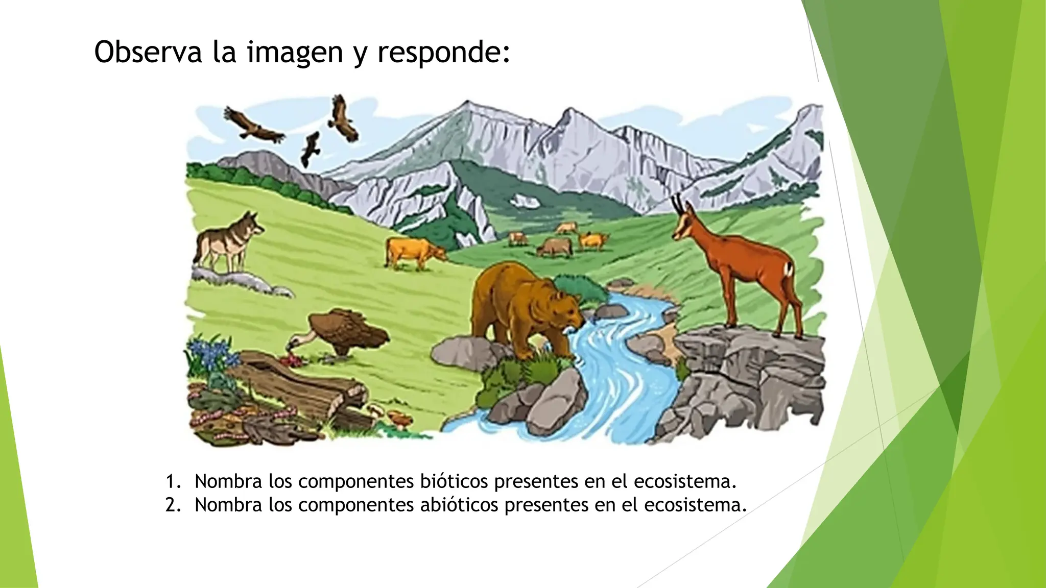 Reconocer un ecosistema y sus componentes.pptx