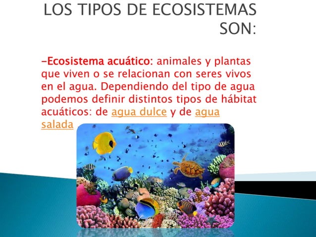 Ecosistema acuático-Darma Maritza Ladkane Grados-aspecto1 | PPTX ...