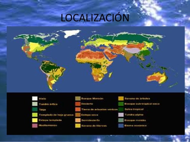Ecosistema Acuático