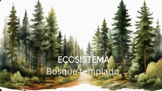Presentación sobre ecosistema del Bosque Templado para niños | PDF