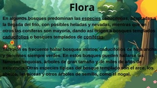 Presentación sobre ecosistema del Bosque Templado para niños | PDF