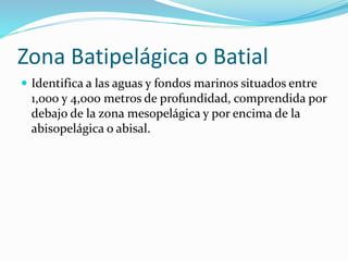Ecosistema del mar | PPTX