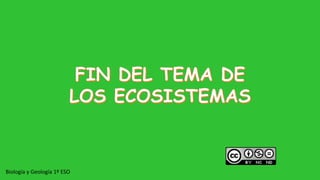 Ecosistema y sus componentes | PPSX