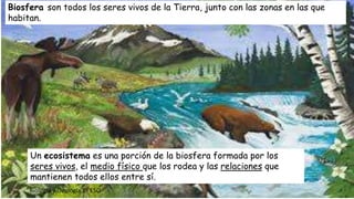 Ecosistema y sus componentes | PPSX