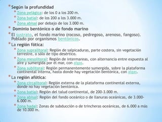 Ecosistema marino | PPTX