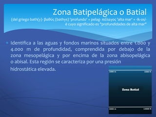Ecosistema Marítimo | PPTX