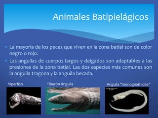 Ecosistema Marítimo | PPTX
