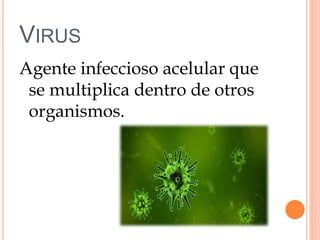 Ecosistema Microbiano | PPTX