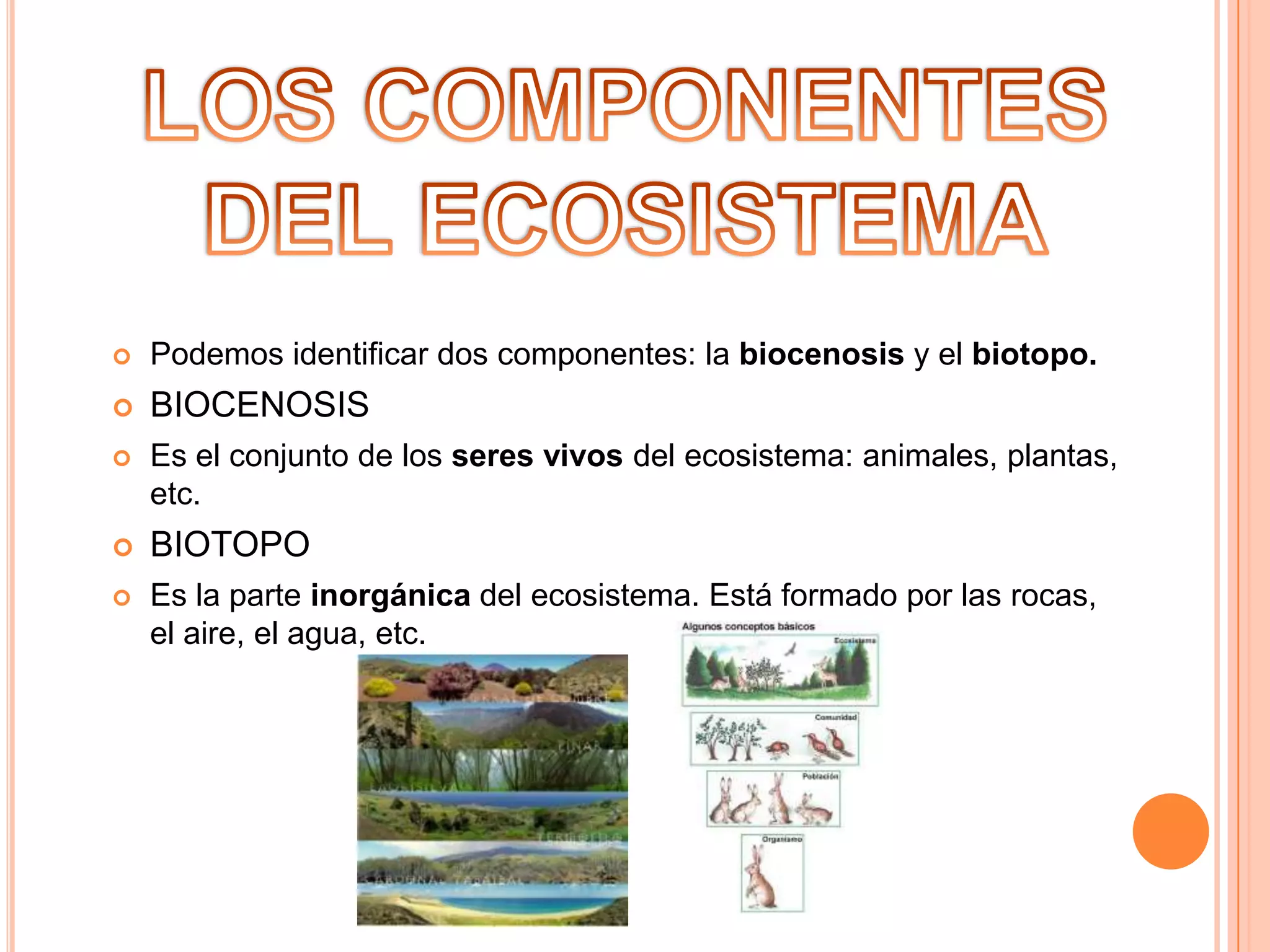 Ecosistemas | PPTX